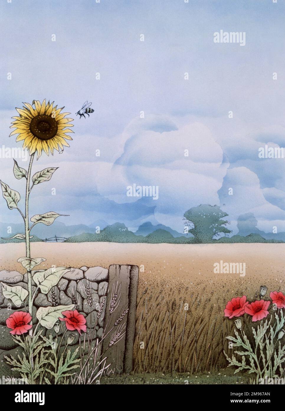 Malcolm stone hi-res stock photography and images - Alamy