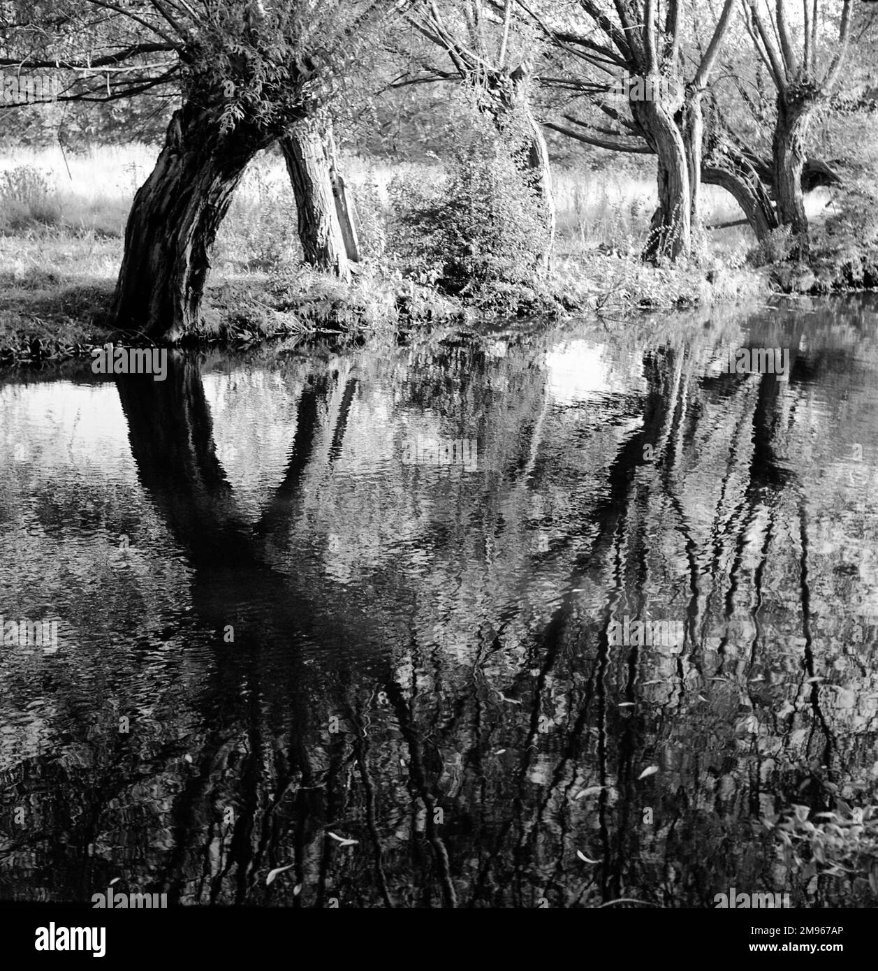 Stream water reflection trees Black and White Stock Photos & Images - Alamy