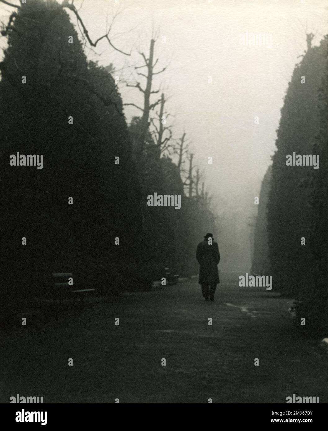 With a hunched hi-res stock photography and images - Alamy