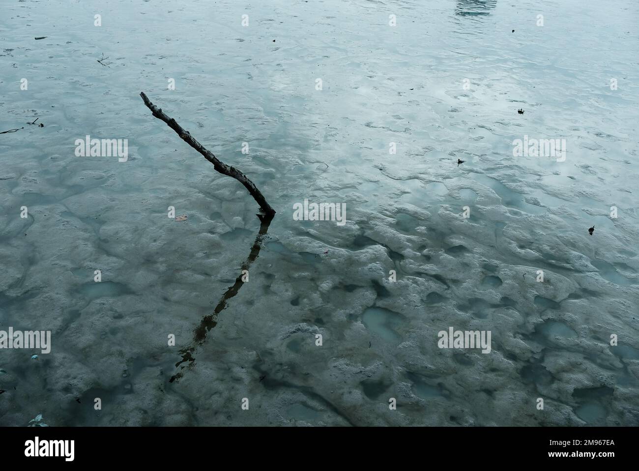 Abstract photo of swampy water in a river Stock Photo - Alamy