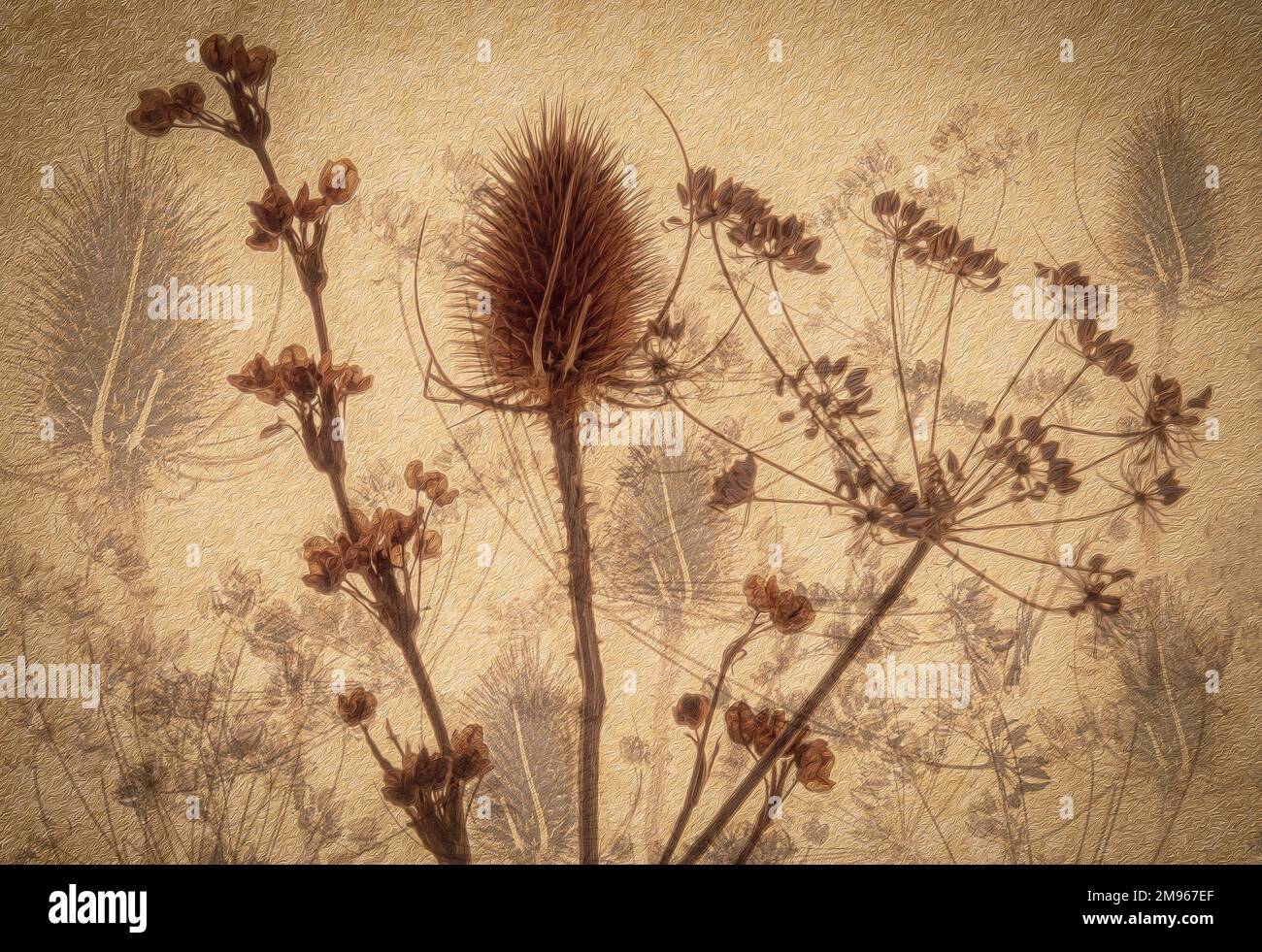 Composite heads hi-res stock photography and images - Alamy