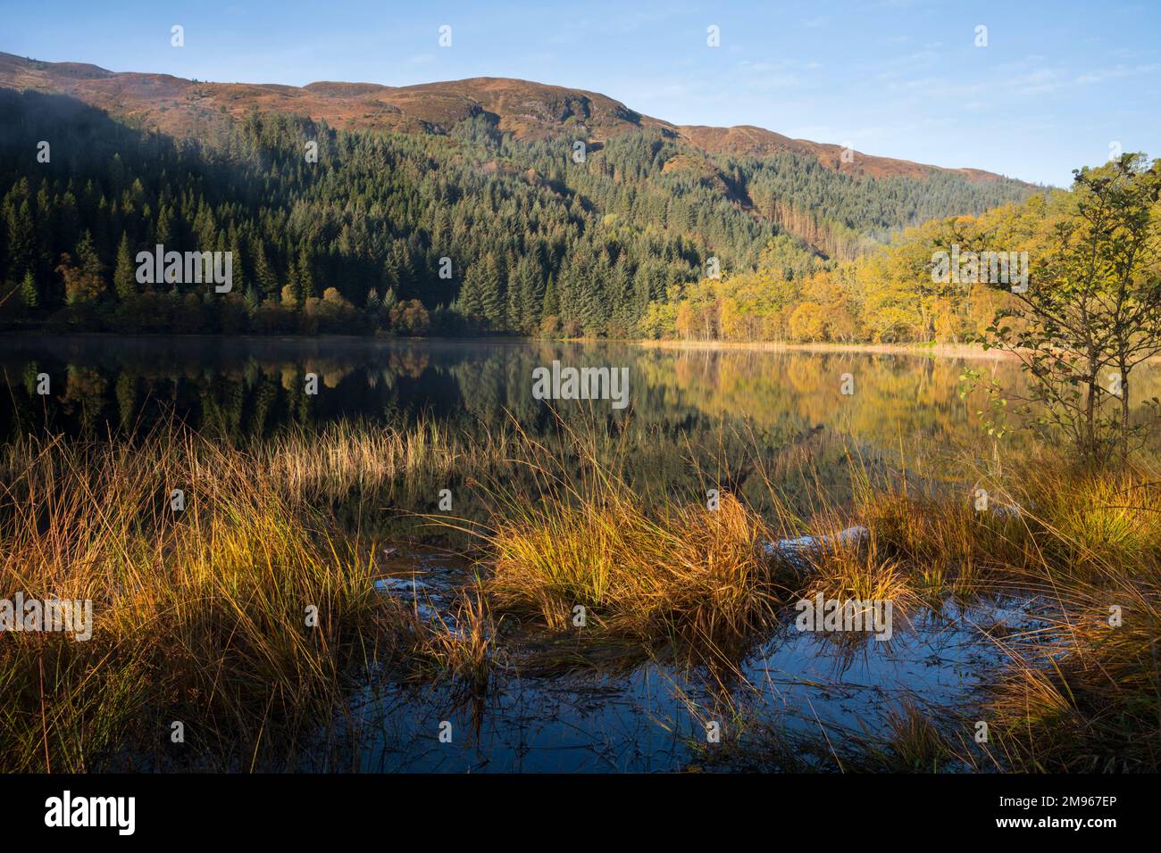 Loch Chon, Loch Lomond and Trossachs National Park, Scotland Stock ...