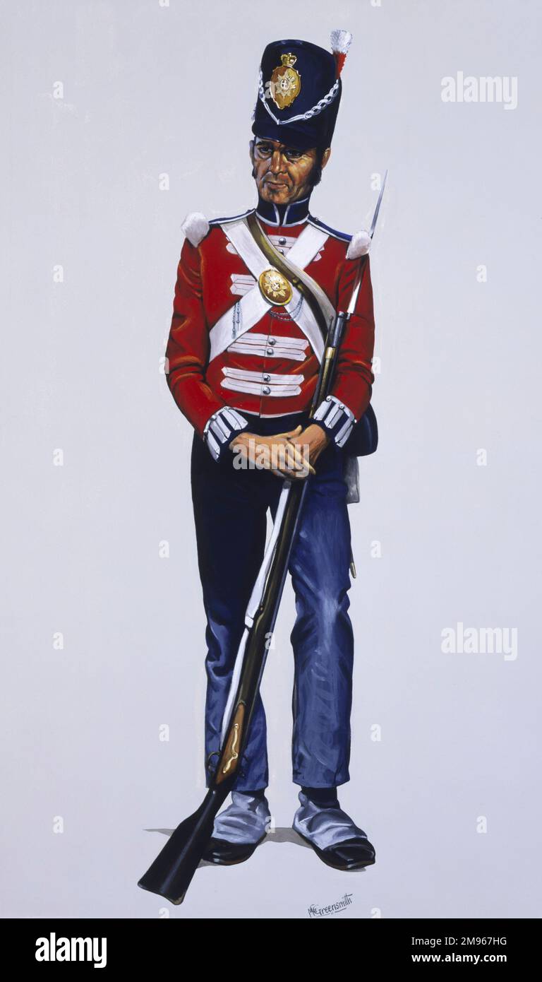 Coldstream guards uniform hi-res stock photography and images - Alamy