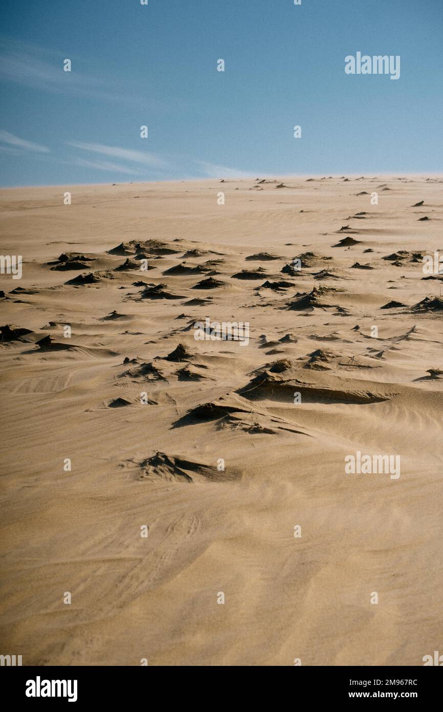An empty scenery of a desert in Cabo Polonio, Uruguay Stock Photo - Alamy