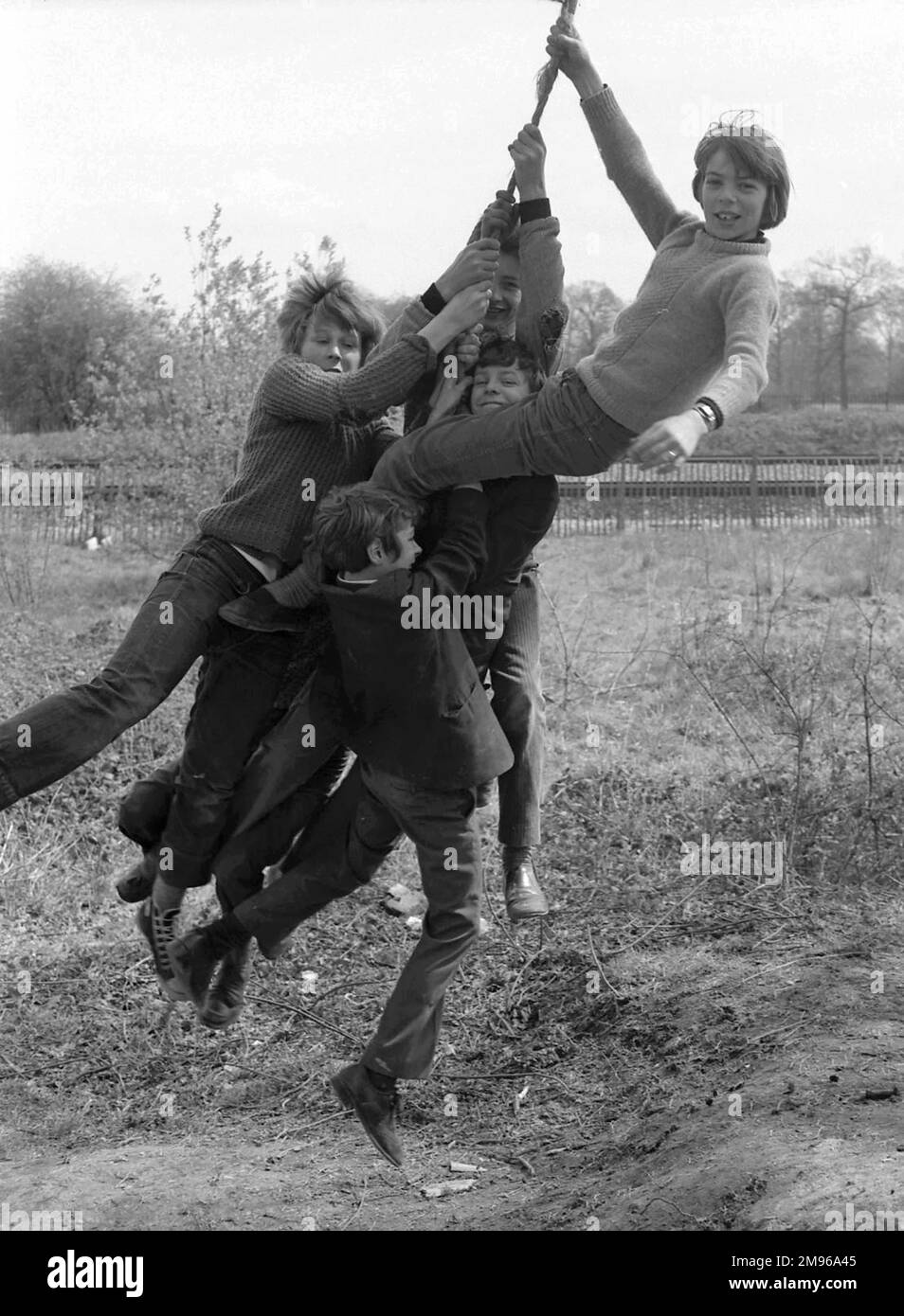 Five boys swinging on a rope, having a great time Stock Photo - Alamy