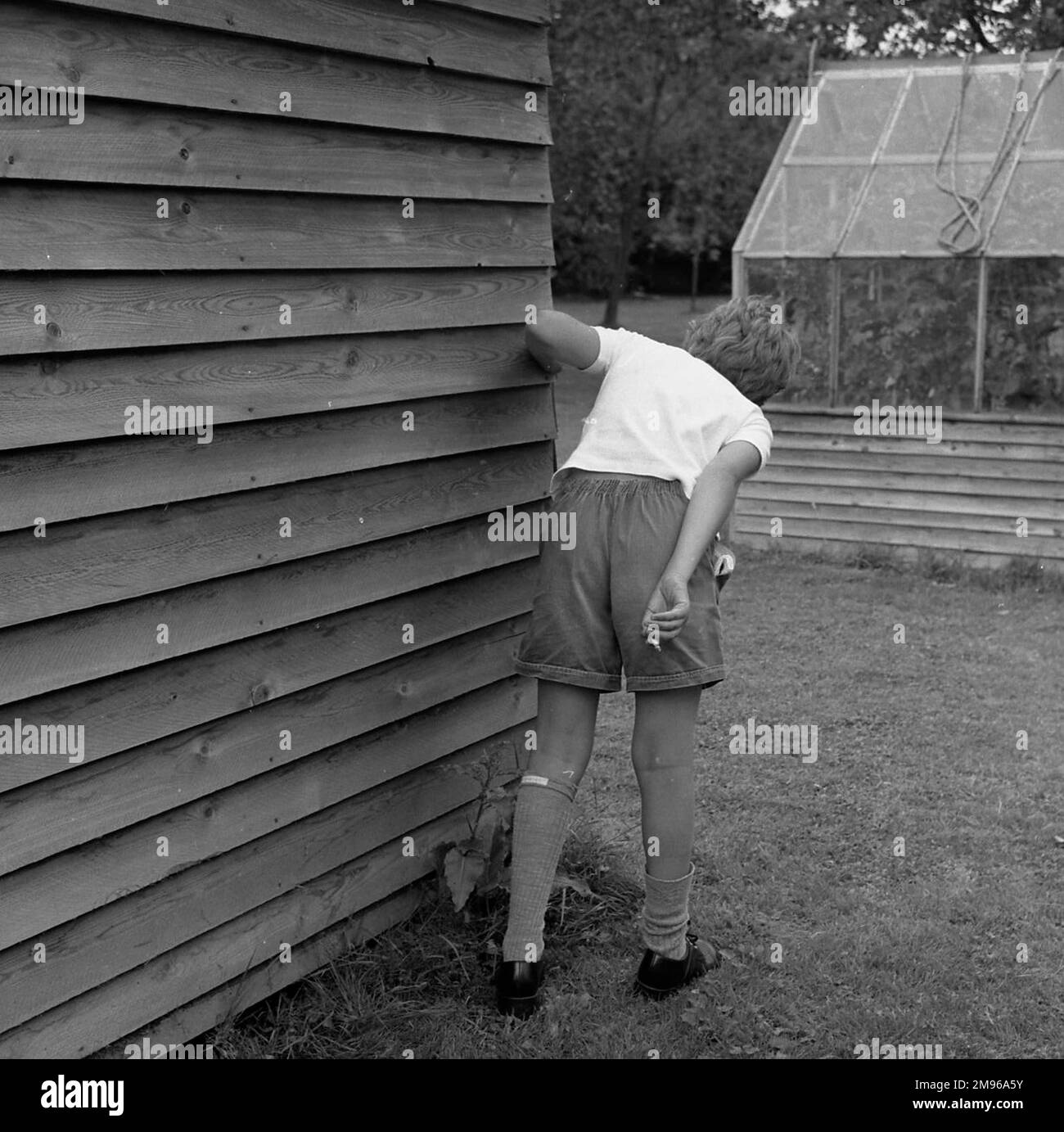 Nevil Shed Wikipedia Bobby Joe Facebook, Twitter & MySpace on PeekYou