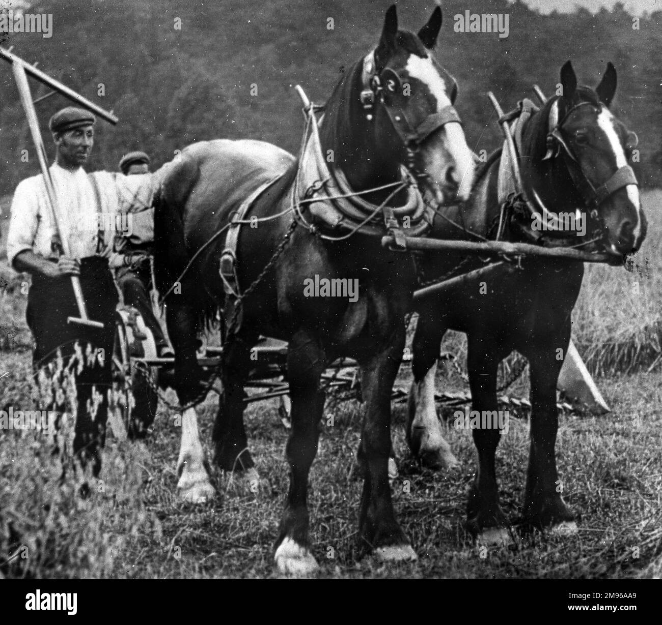Plough field wales welsh hi-res stock photography and images - Alamy