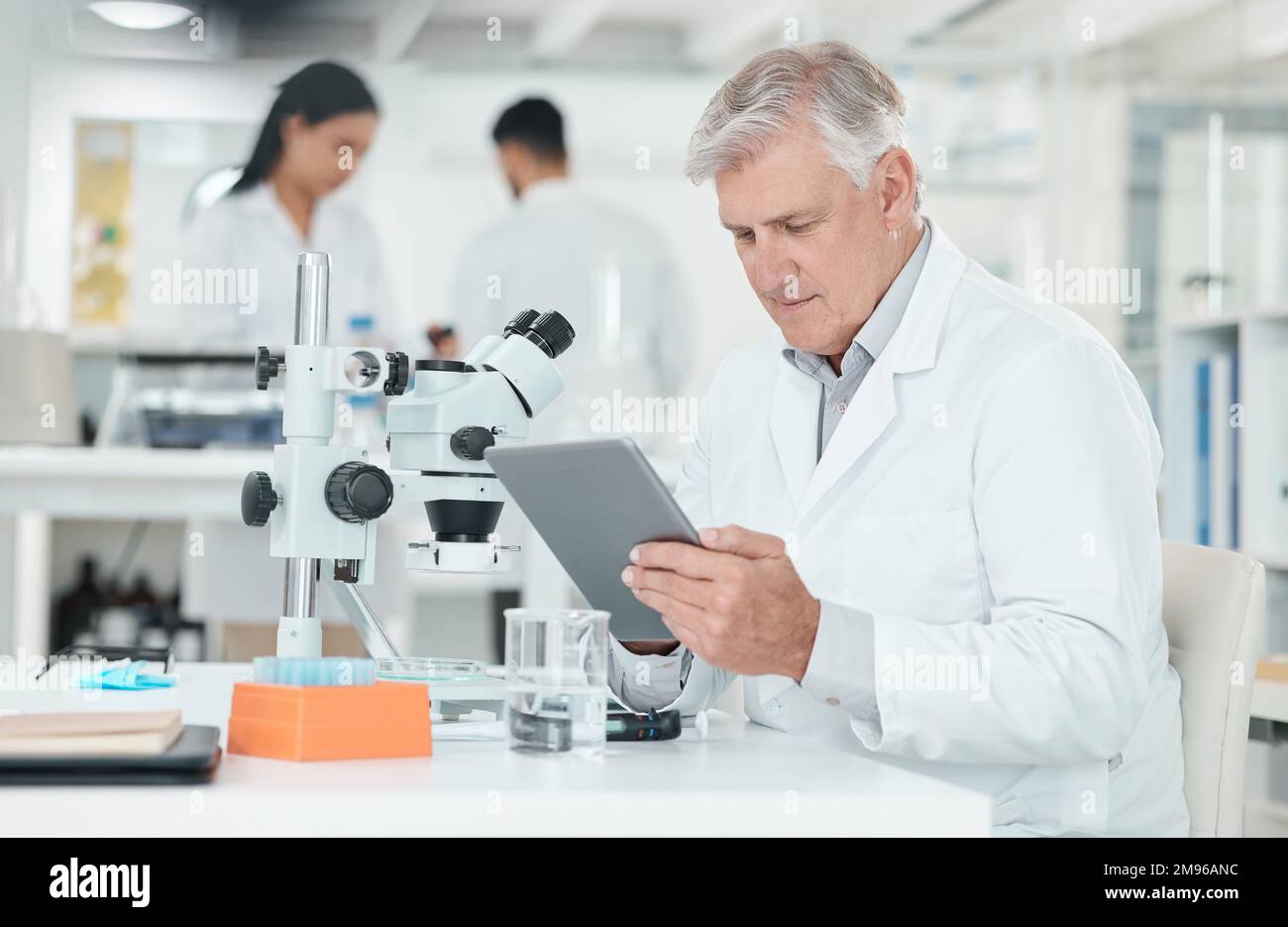 Science is one of the most important channels of knowledge. a senior ...