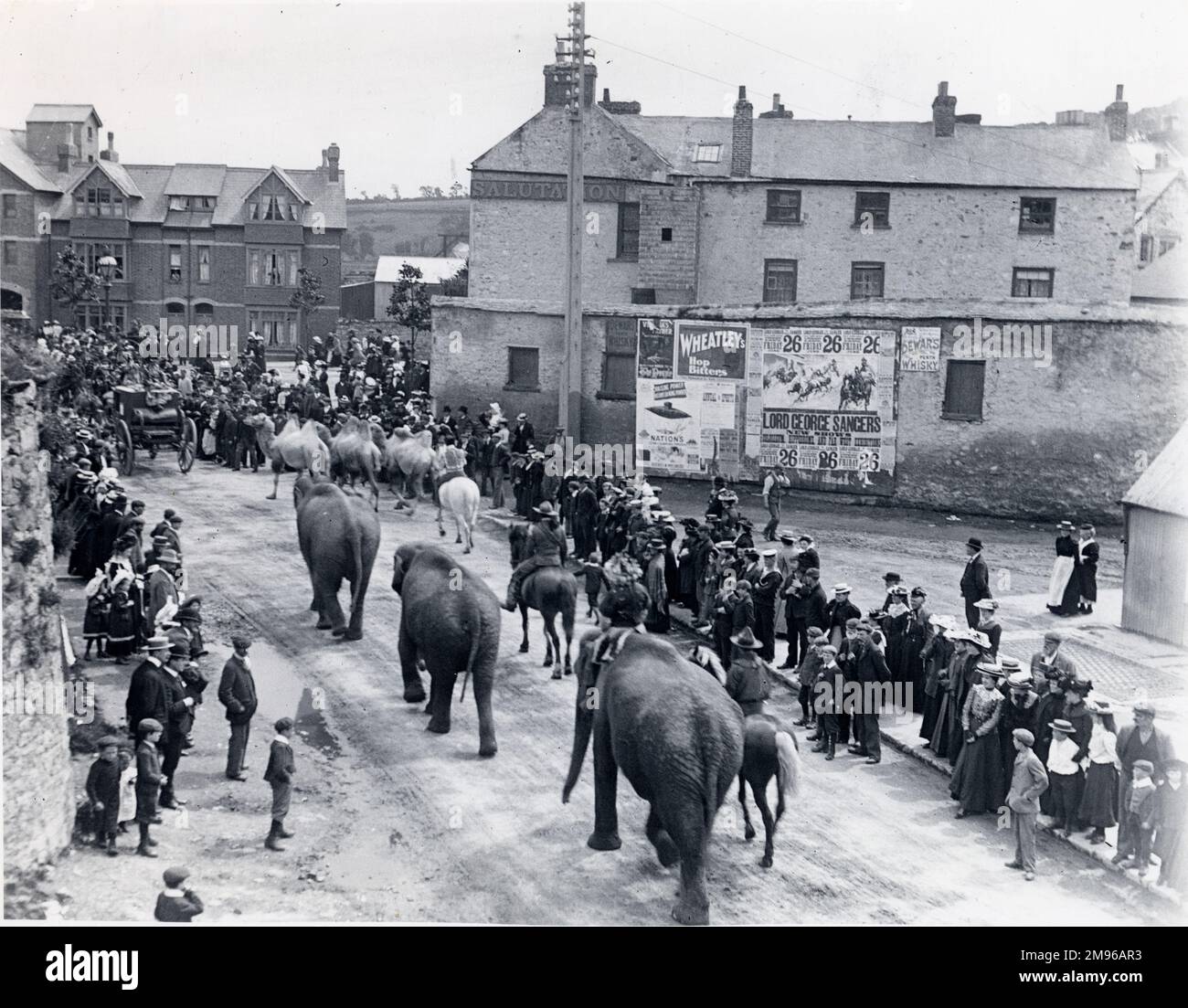 A circus procession of camels, elephants and men on horseback, at New ...