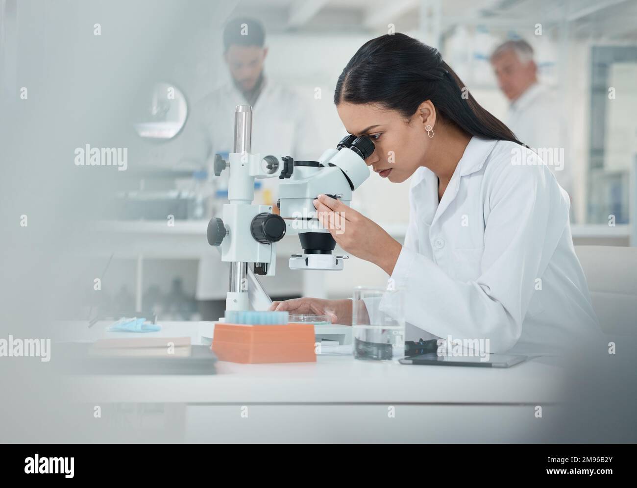 Science is about complex analytical processes. a young scientist using ...