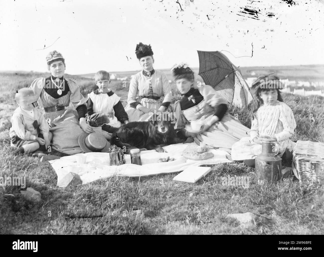 An Edwardian group (three women, three children and a dog) enjoying a ...