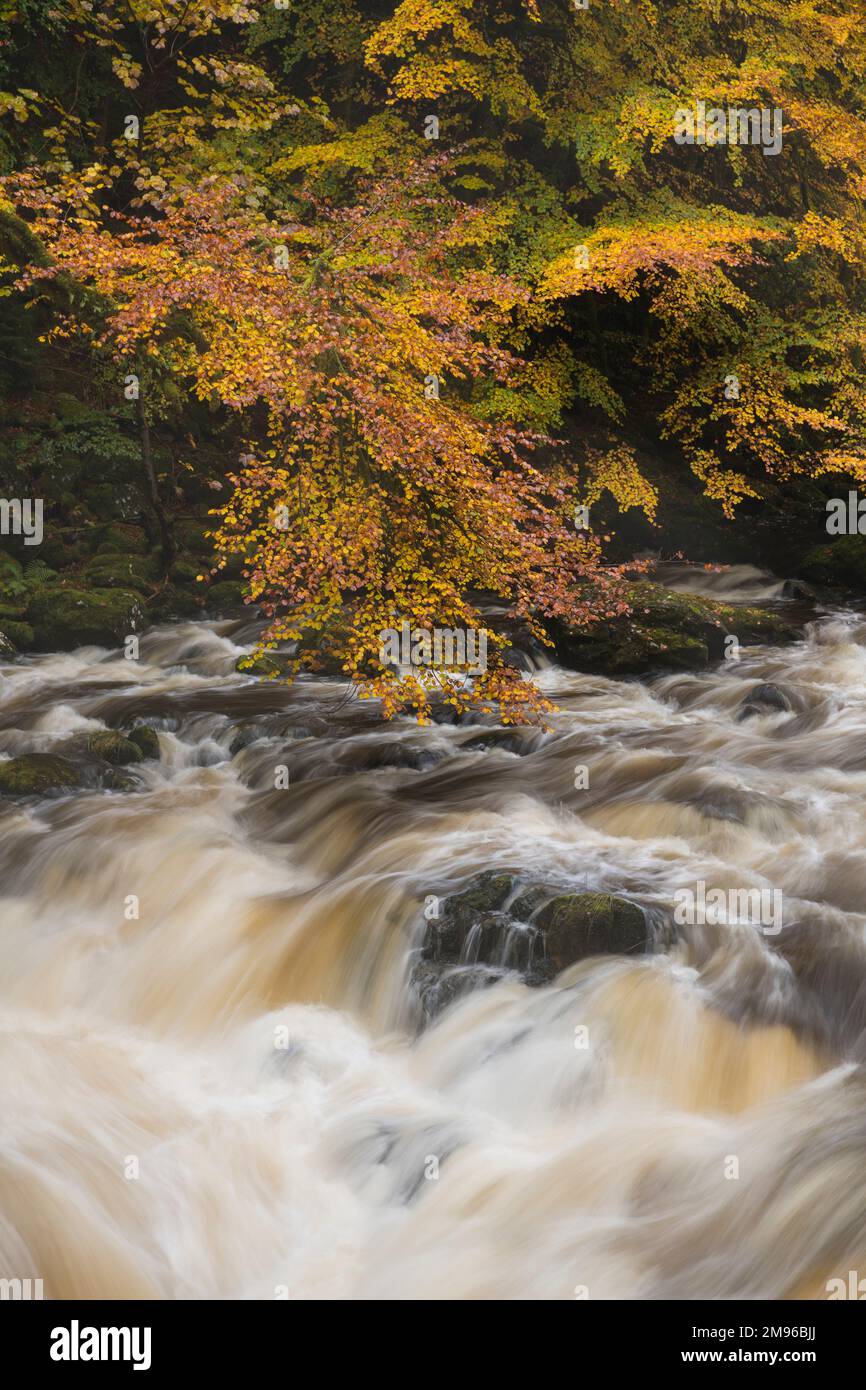 Perth scotland river hi-res stock photography and images - Alamy