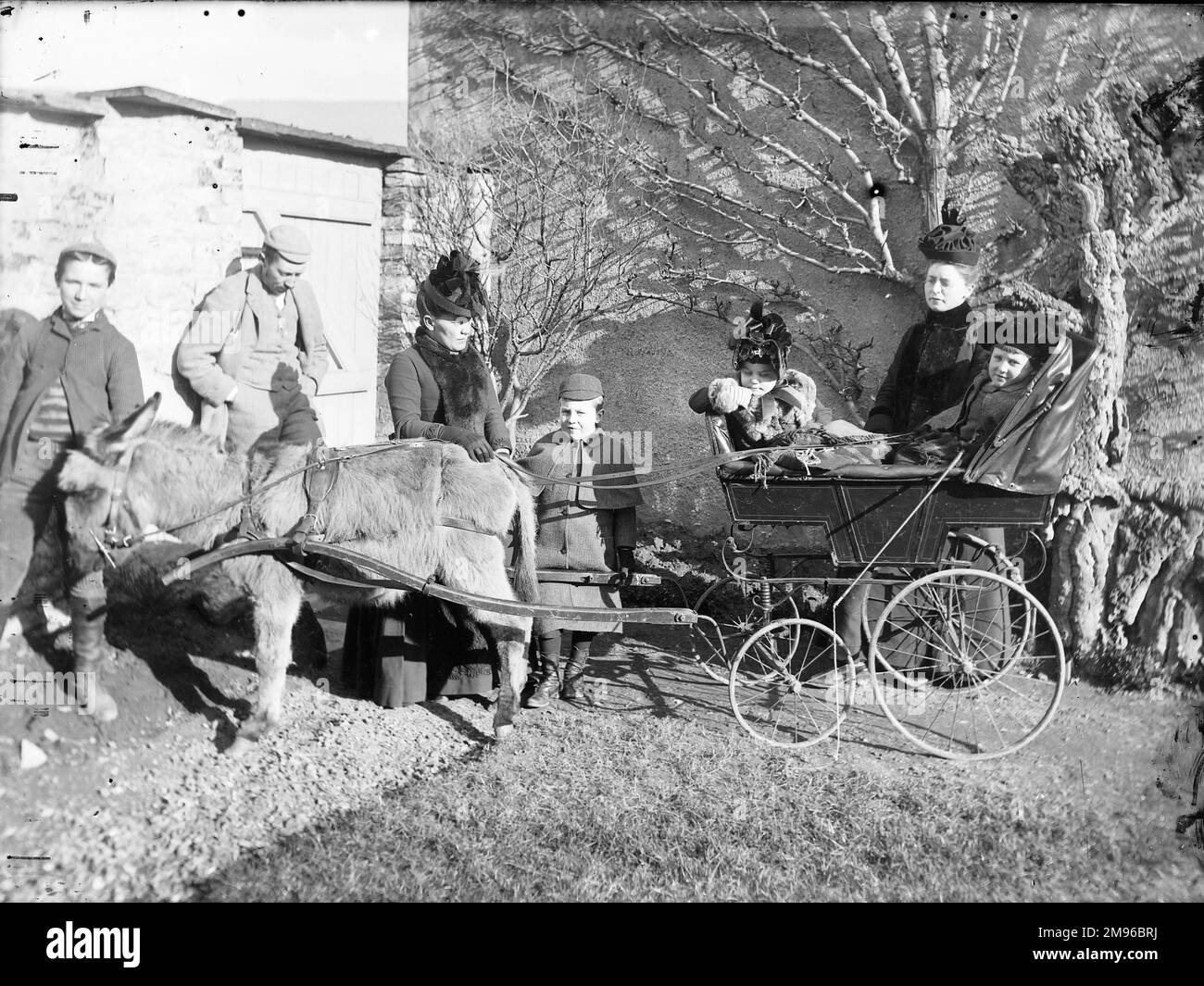 A large Edwardian family of seven with a donkey-drawn trap in a garden ...