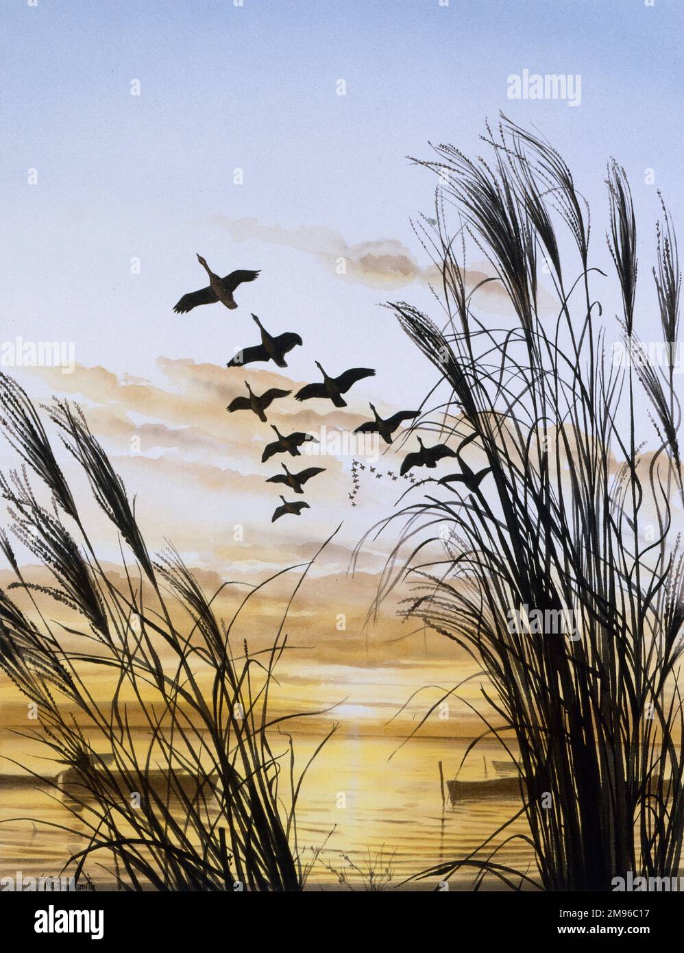 A flock of geese flying in formation over a stretch of water, with ...