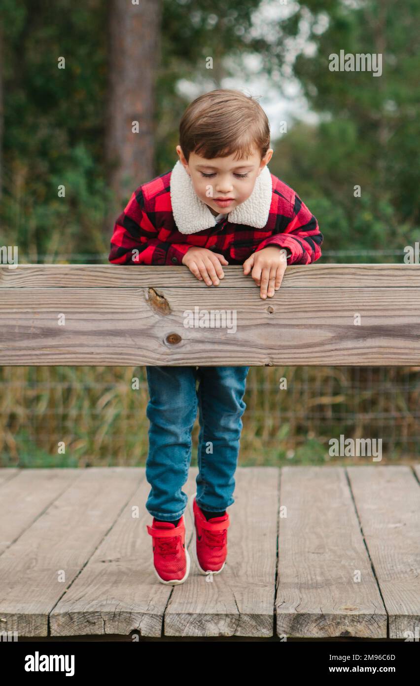 Toddler boy on wooden bridge looking at animals on Florida farm at ...
