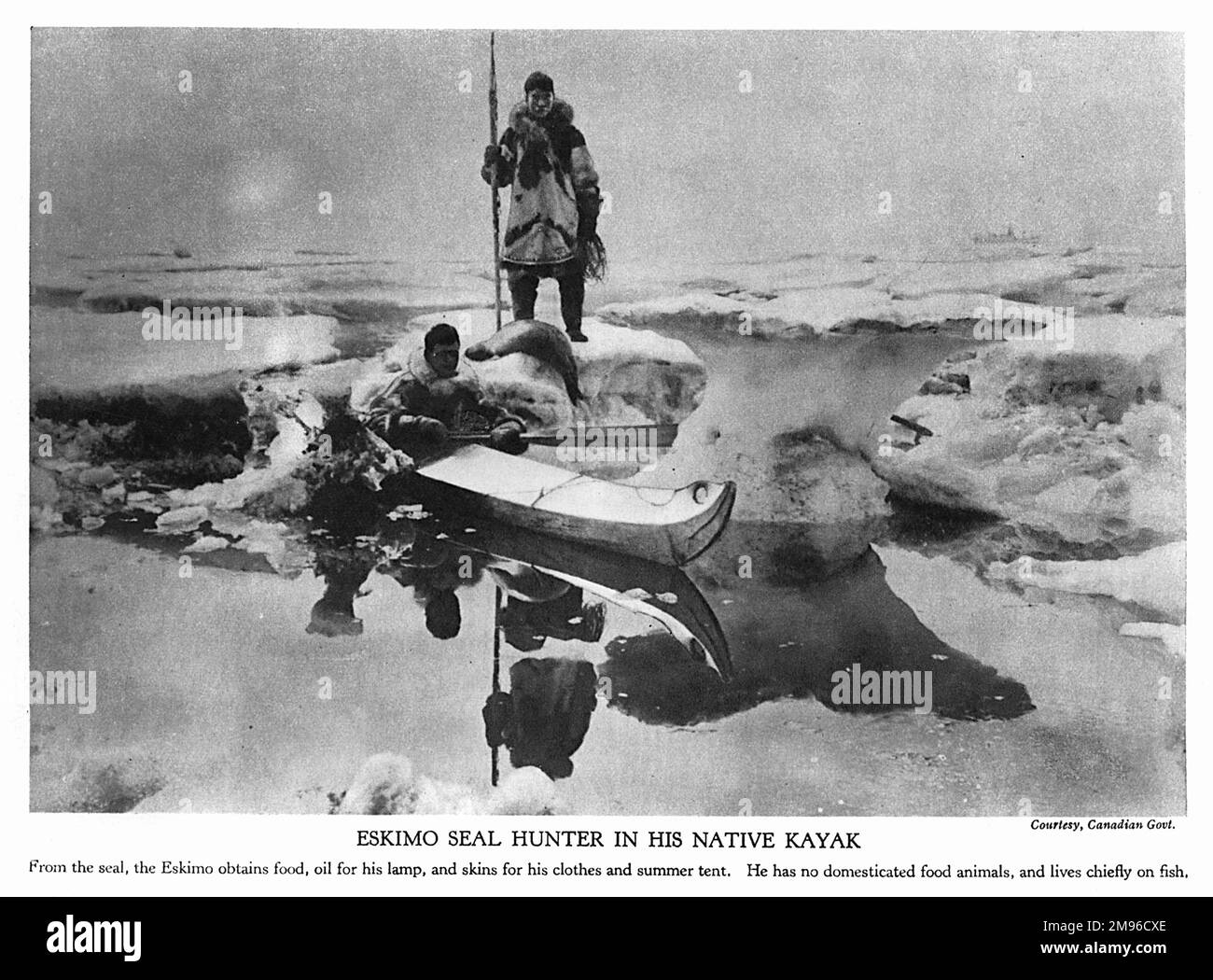Two eskimo seal hunters, one in a kayak. From the seal, eskimos obtain ...