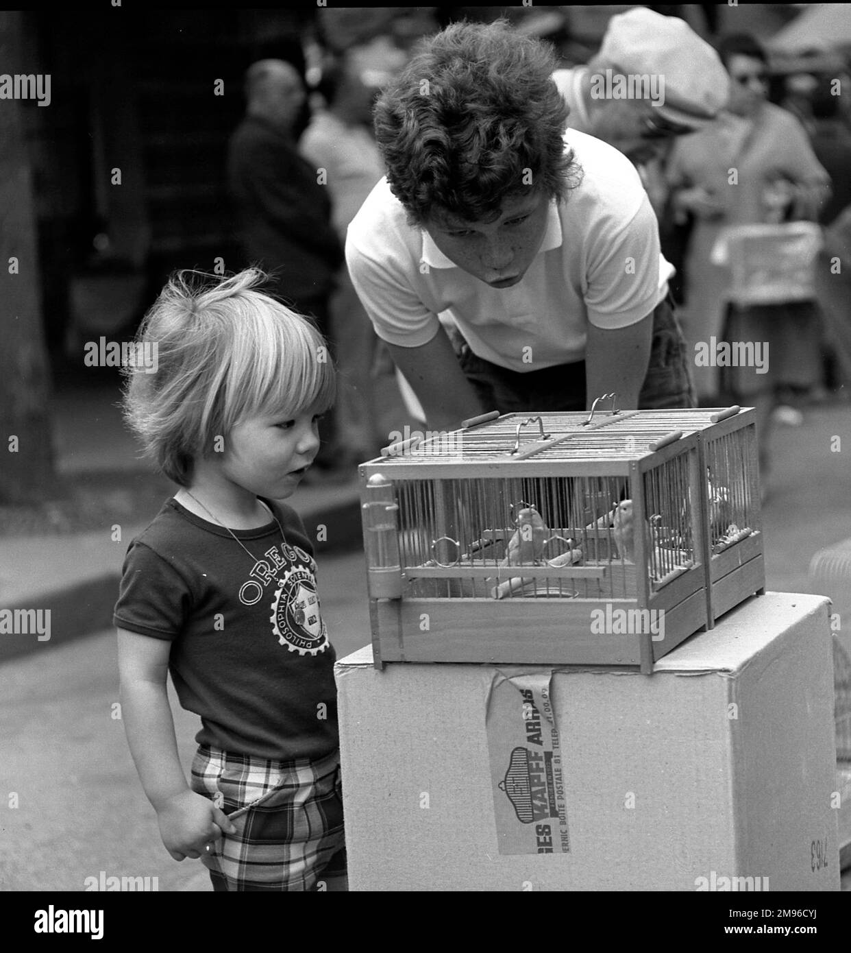 Two boys admiring some birds in a cage Stock Photo - Alamy