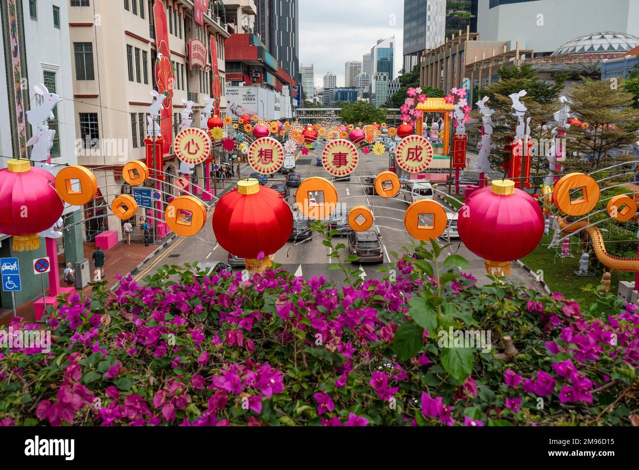 Bouganvillea Singapore Pink and Chinese New Year decorations for Year ...