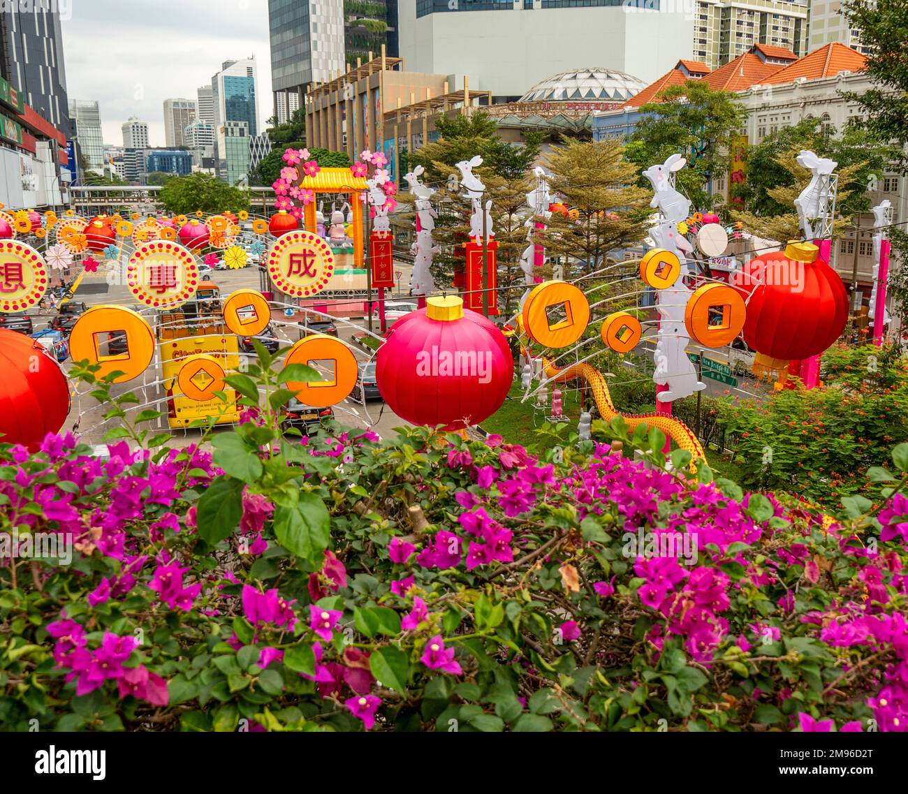Bouganvillea Singapore Pink and Chinese New Year decorations for Year ...