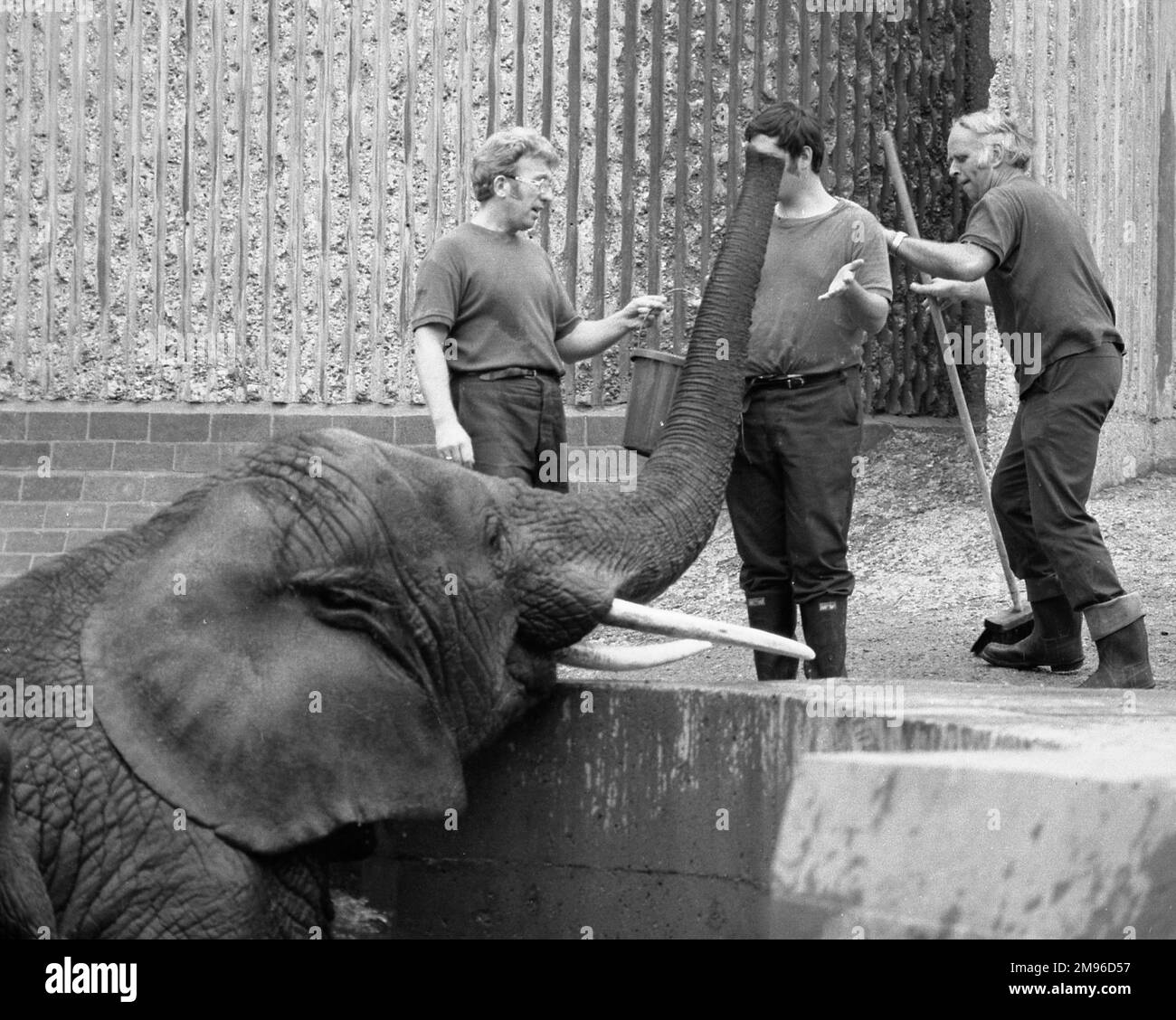 Nature in the zoo Black and White Stock Photos & Images - Alamy