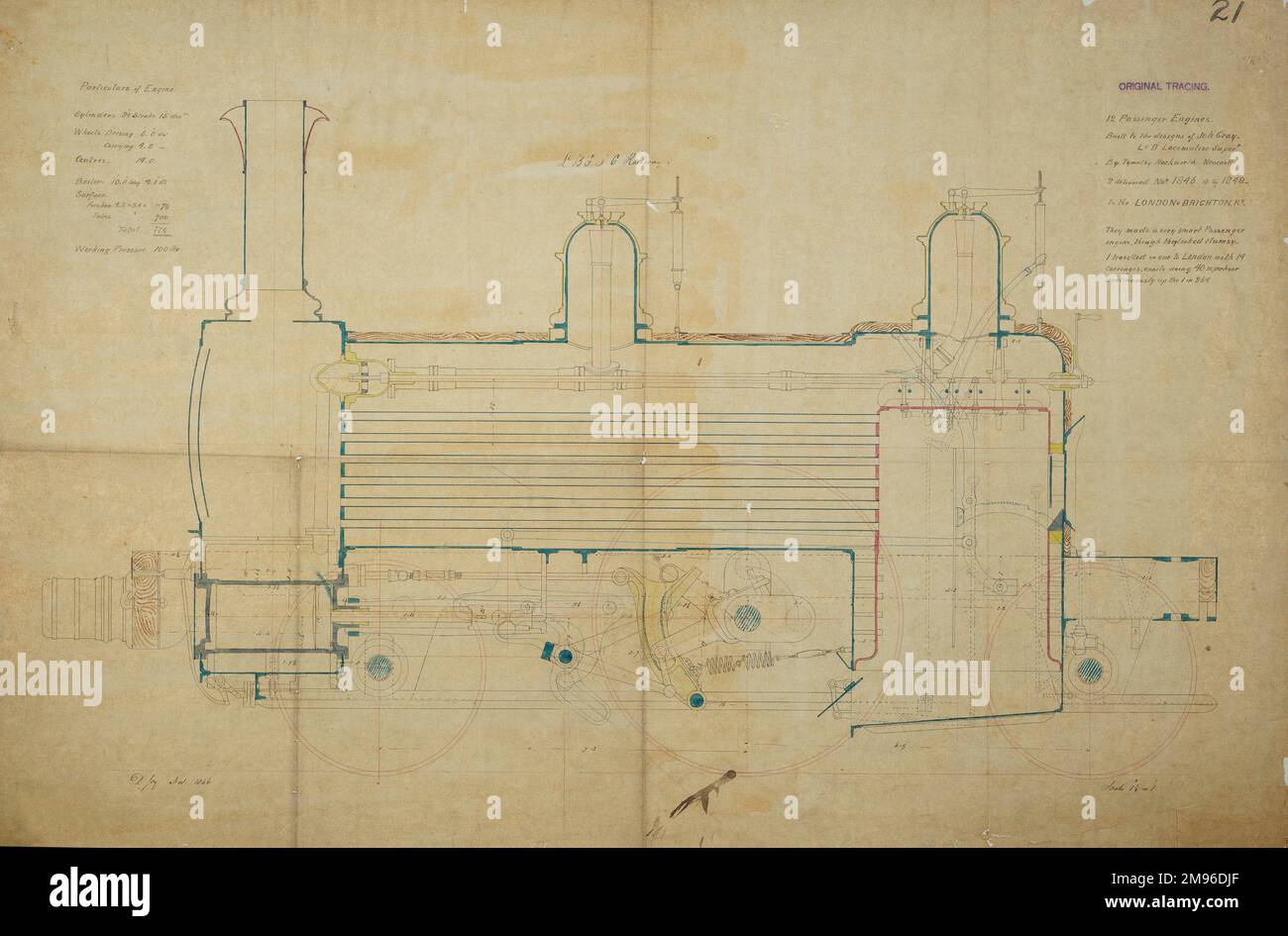 Longitudinal section hi-res stock photography and images - Alamy