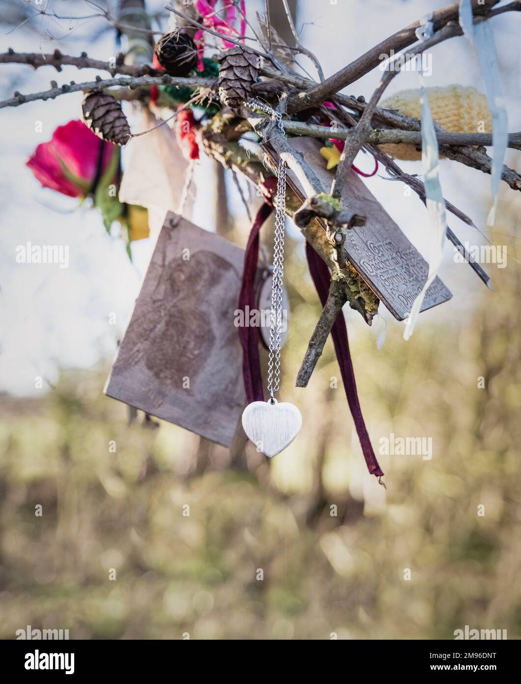 Pagan symbolism hanging from the trees and around the Rollright Stone ...