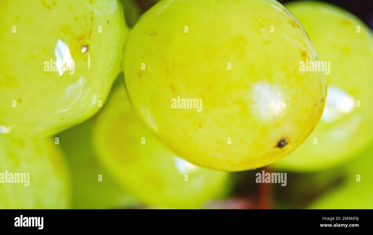 Grape grains hi-res stock photography and images - Alamy