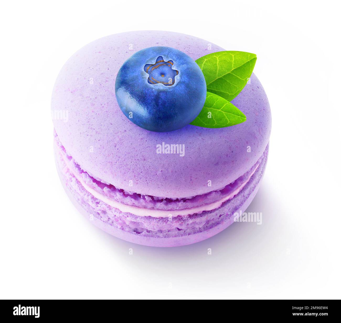 One blueberry fruit on top of macaroon isolated on white background ...