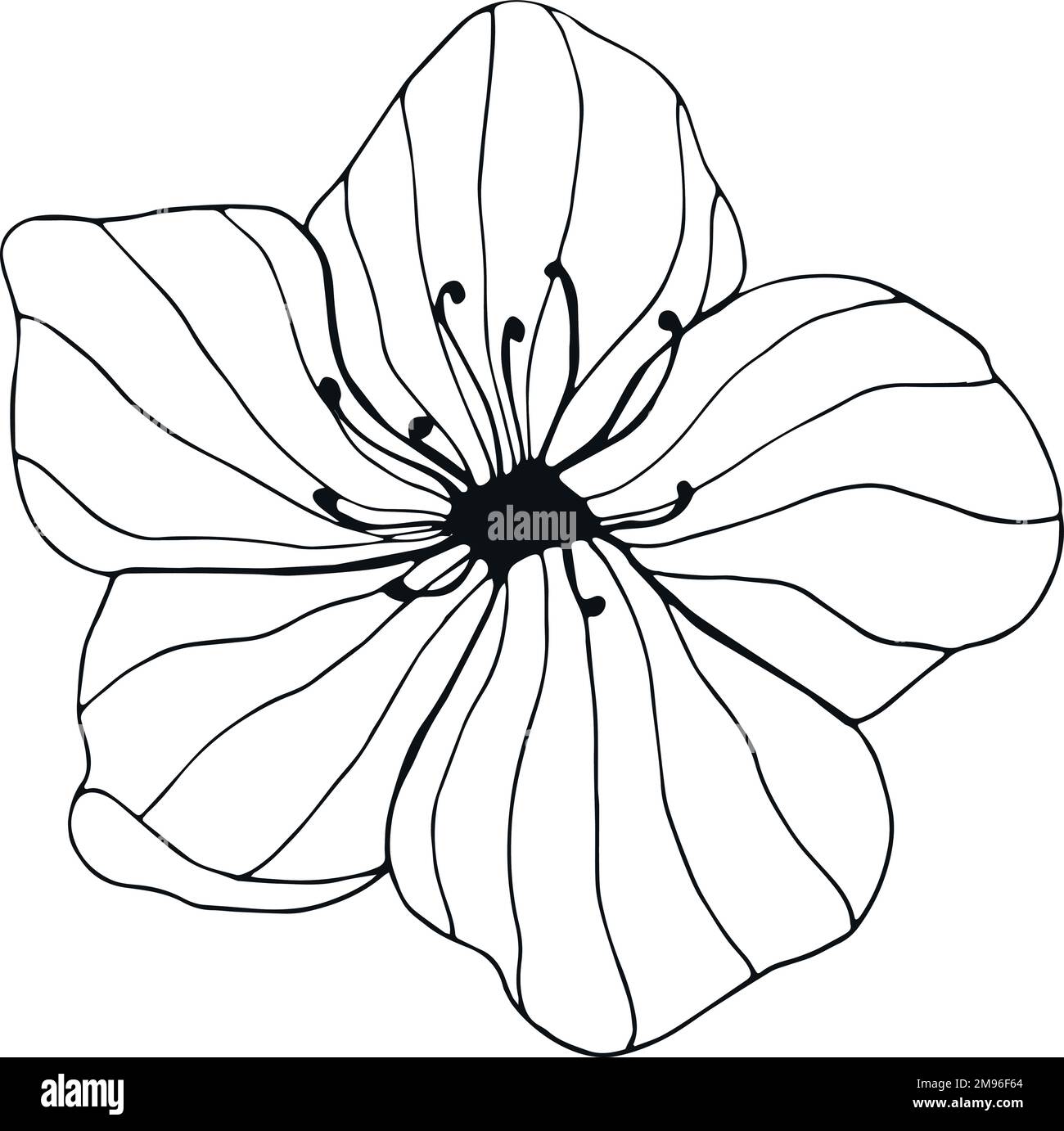 Hand drawn flower on white background. One line contour floral drawing ...