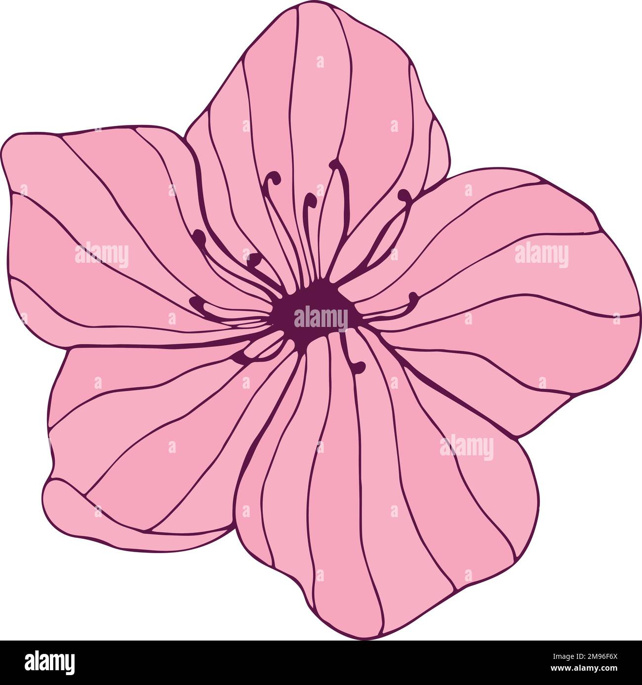 Hand drawn pink flower on white background. Botanical element. Vector ...