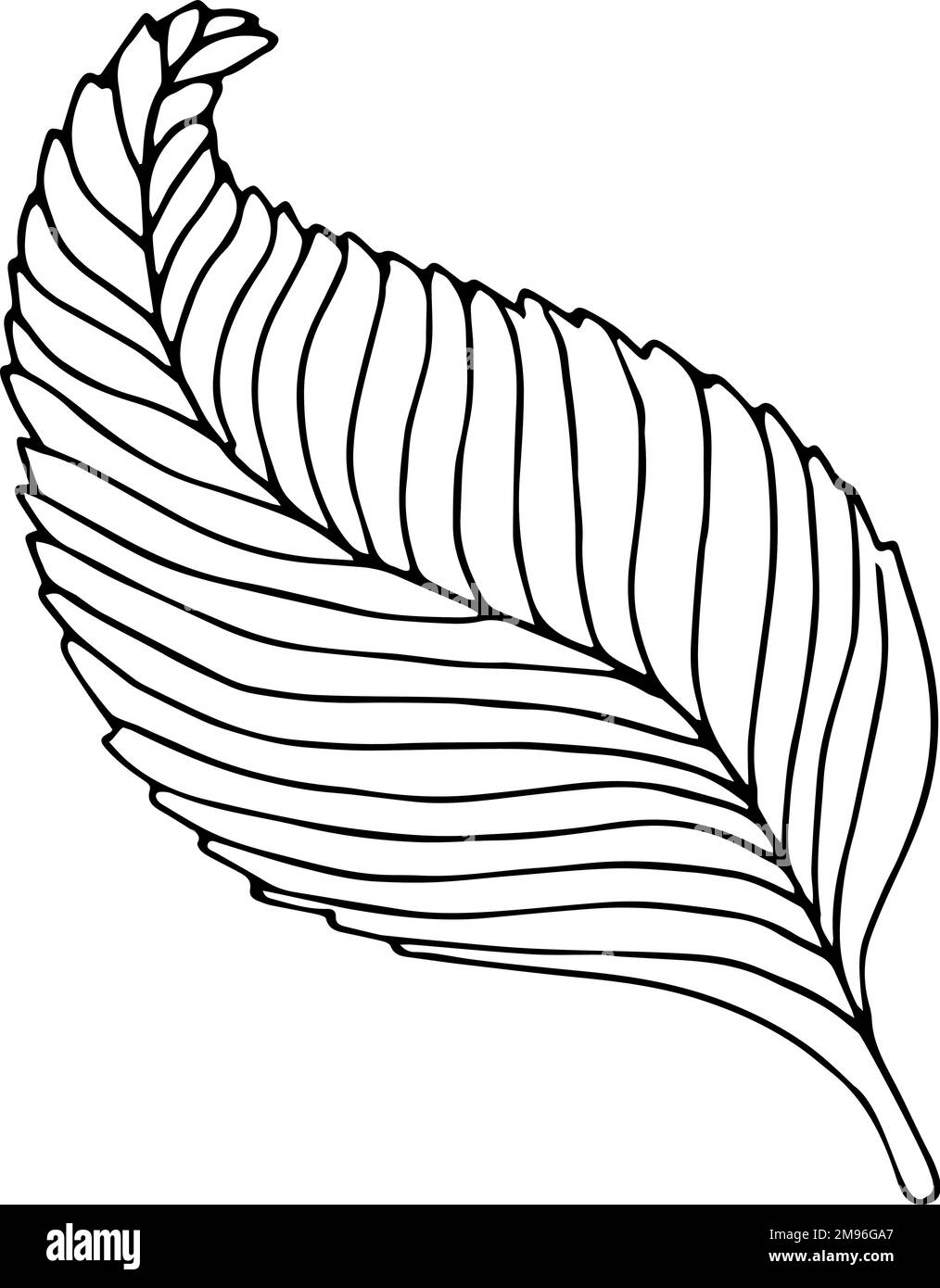 Hand drawn leaf on white background. One line contour floral drawing ...