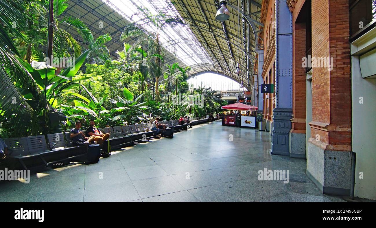 Interior of the hall of the Atocha station in Madrid, Spain, Europe ...
