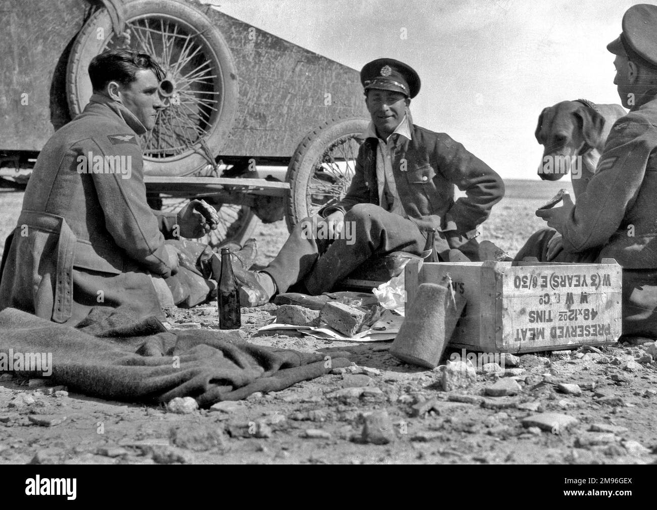 Dog in vehicle crate Black and White Stock Photos & Images - Alamy