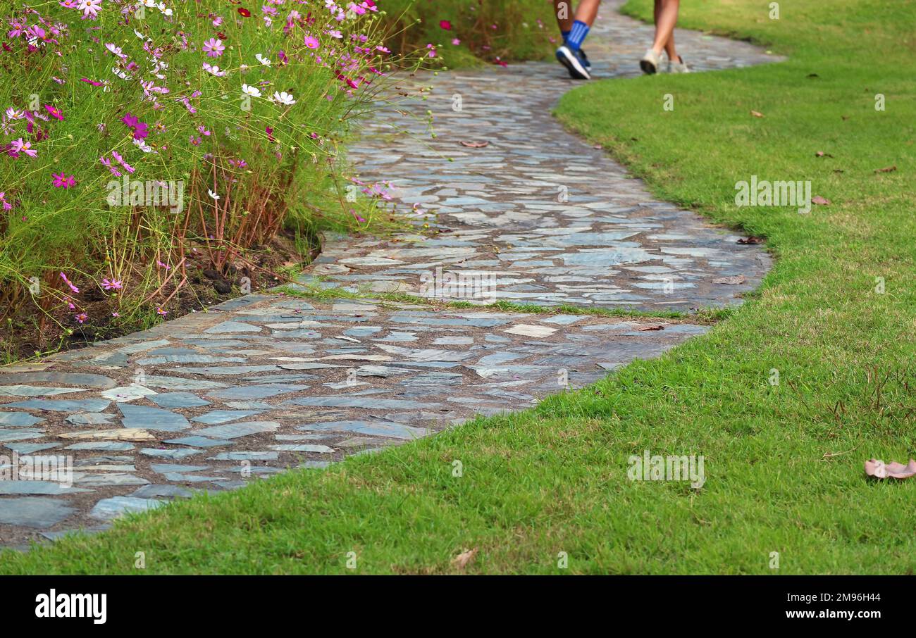 Stepping stone path in lawn hi-res stock photography and images - Alamy