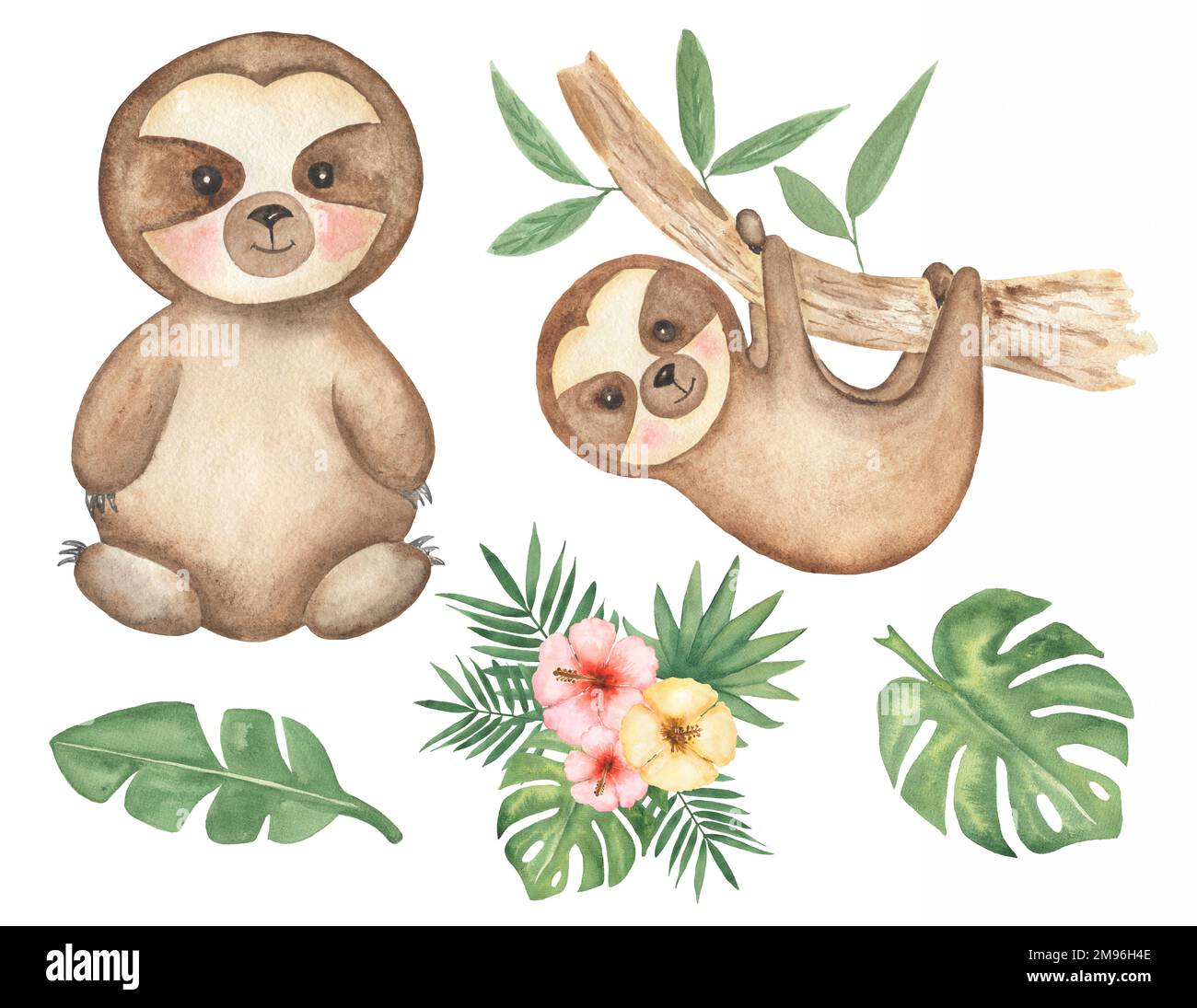Baby Jungle Clip Art