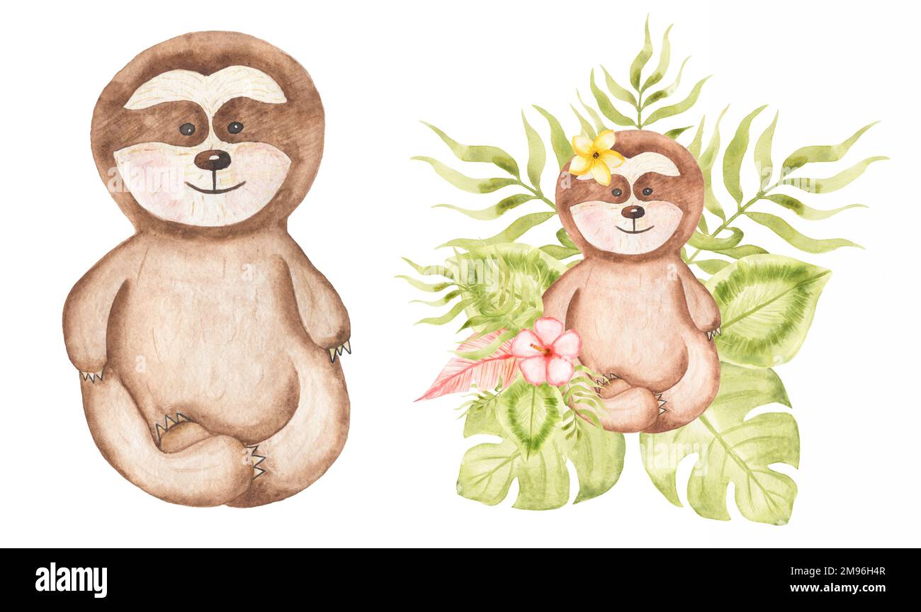 Sloth clipart. Watercolor Baby Sloth clip art, Tropical animal, Leaves ...