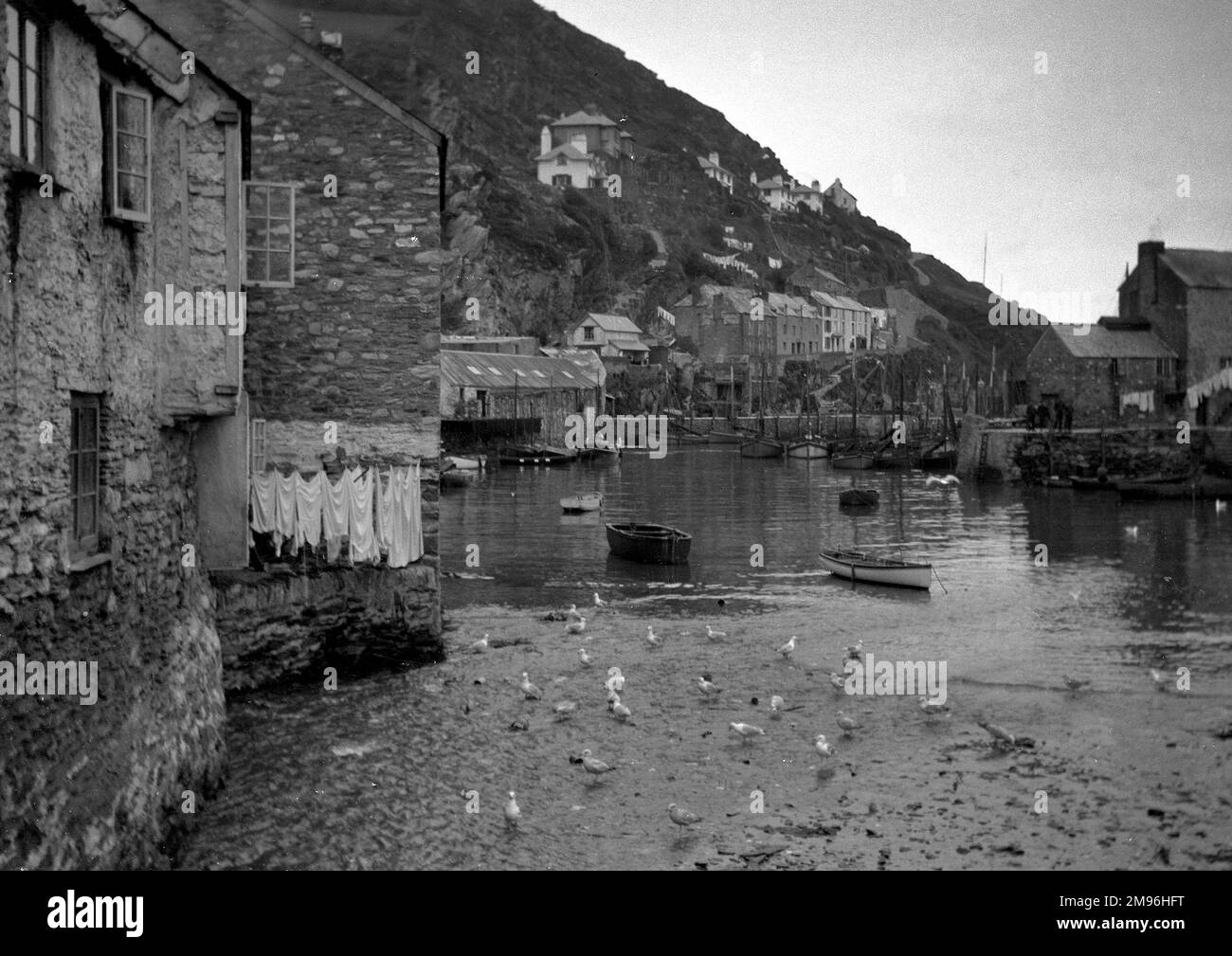 A picturesque harbour scene with seagulls, cottages and a washing line ...