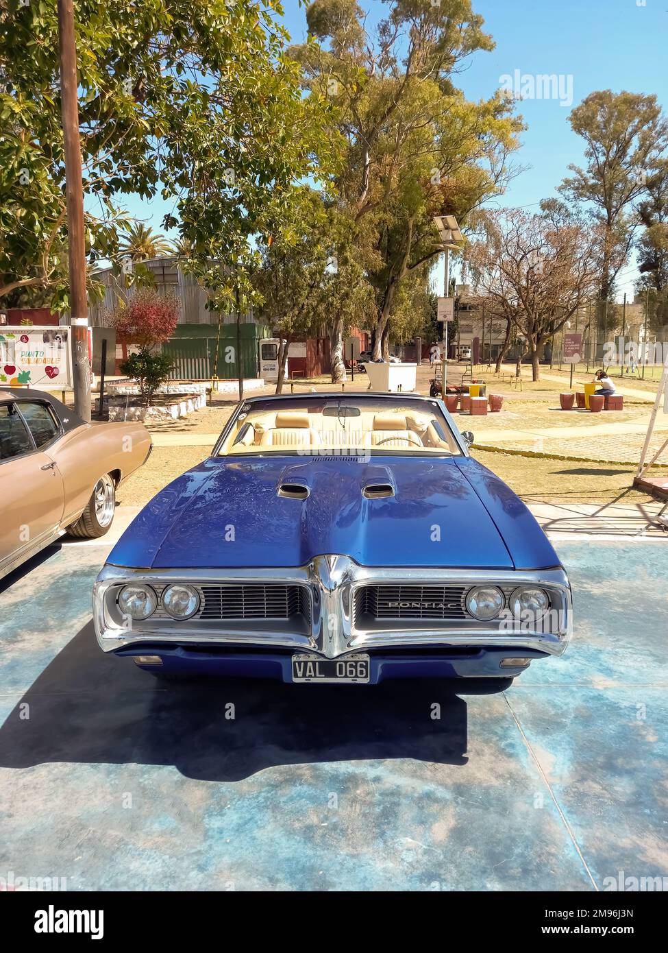 Old blue sport 1969 Pontiac GTO two door convertible in a park. Front ...