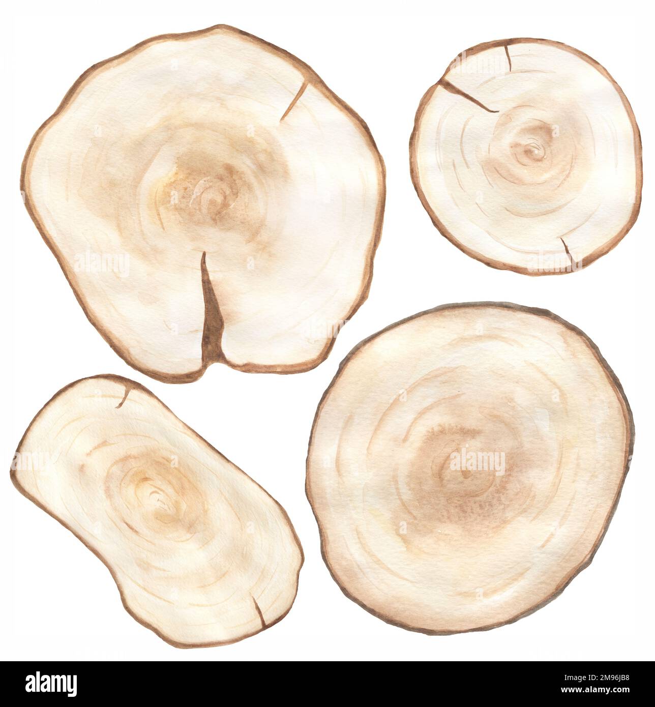 Watercolor Wood Slices Clipart, Rustic Wood board frame clip art ...