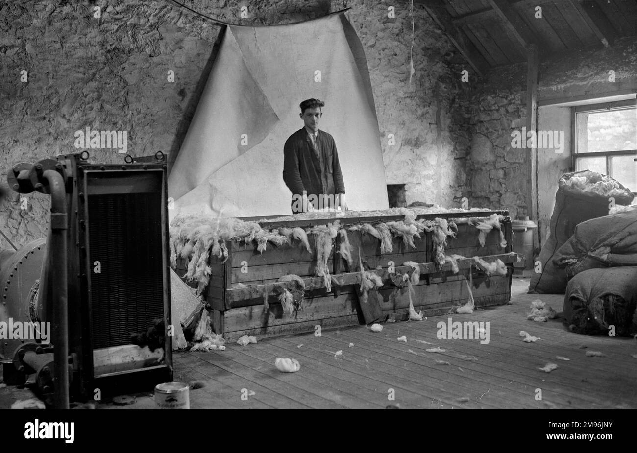 A young man in the textile industry in Scotland, processing wool Stock ...