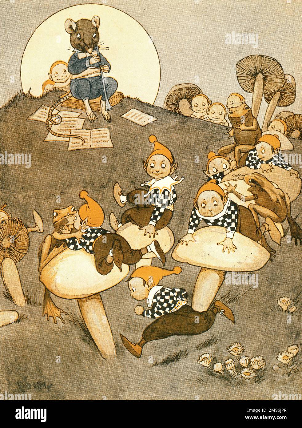 Toadstool frog hi-res stock photography and images - Alamy