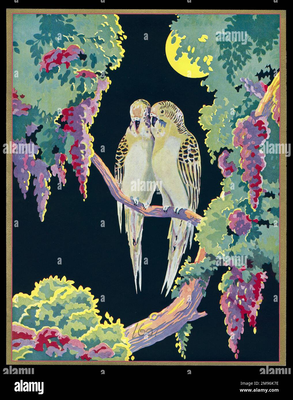 Chocolate box design, featuring two budgerigars sitting on a branch in ...