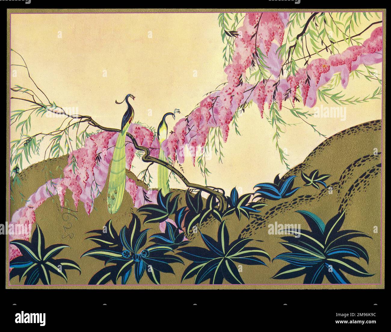 Chocolate box design, featuring two peacocks on a branch of pink ...