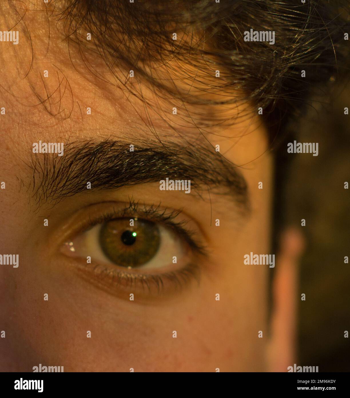 Hazel iris color hi-res stock photography and images - Alamy