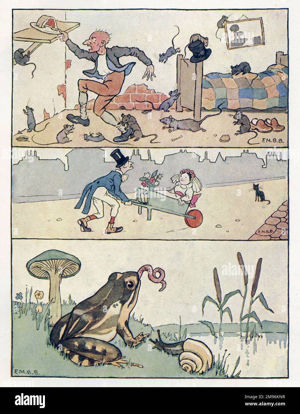 Eats mice hi-res stock photography and images - Alamy