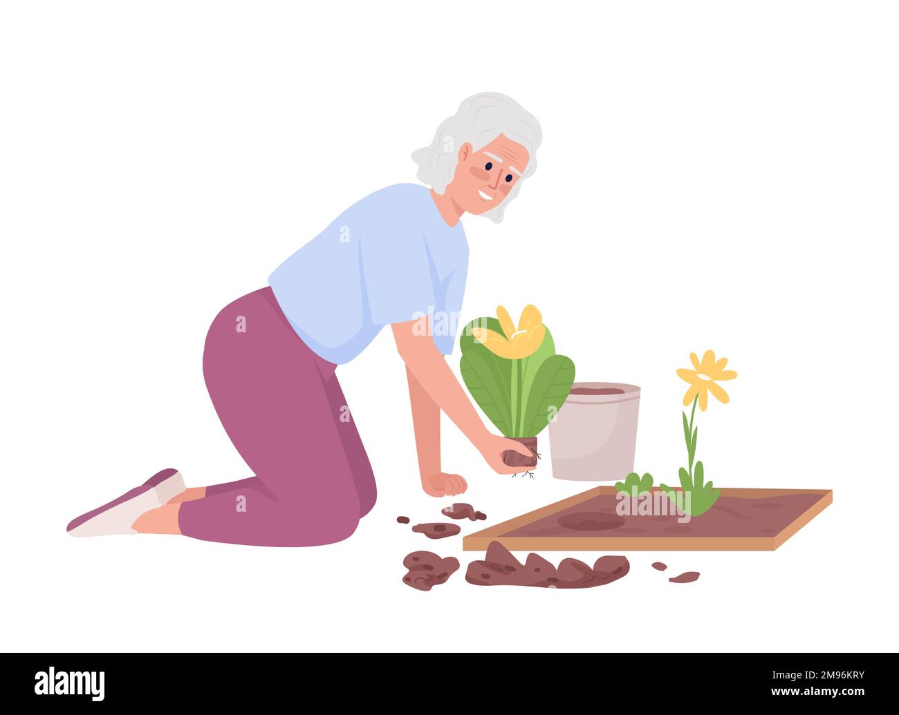 Elderly person planting Stock Vector Images - Alamy
