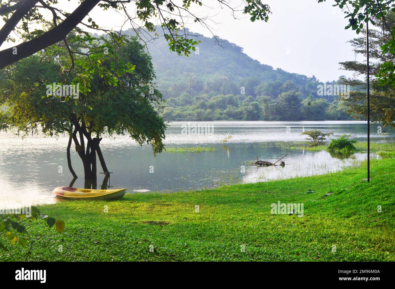 In nature, nothing is perfect and everything is perfect Stock Photo - Alamy