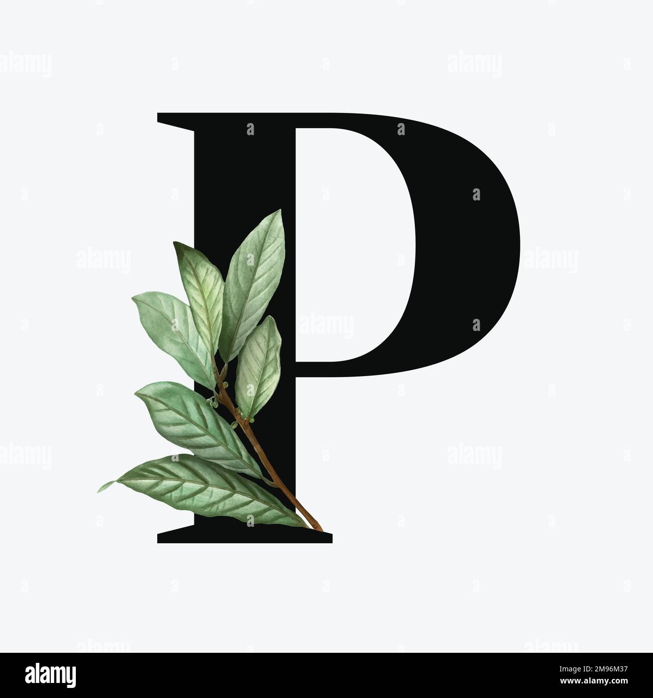 Botanical capital letter P vector Stock Vector Image & Art - Alamy