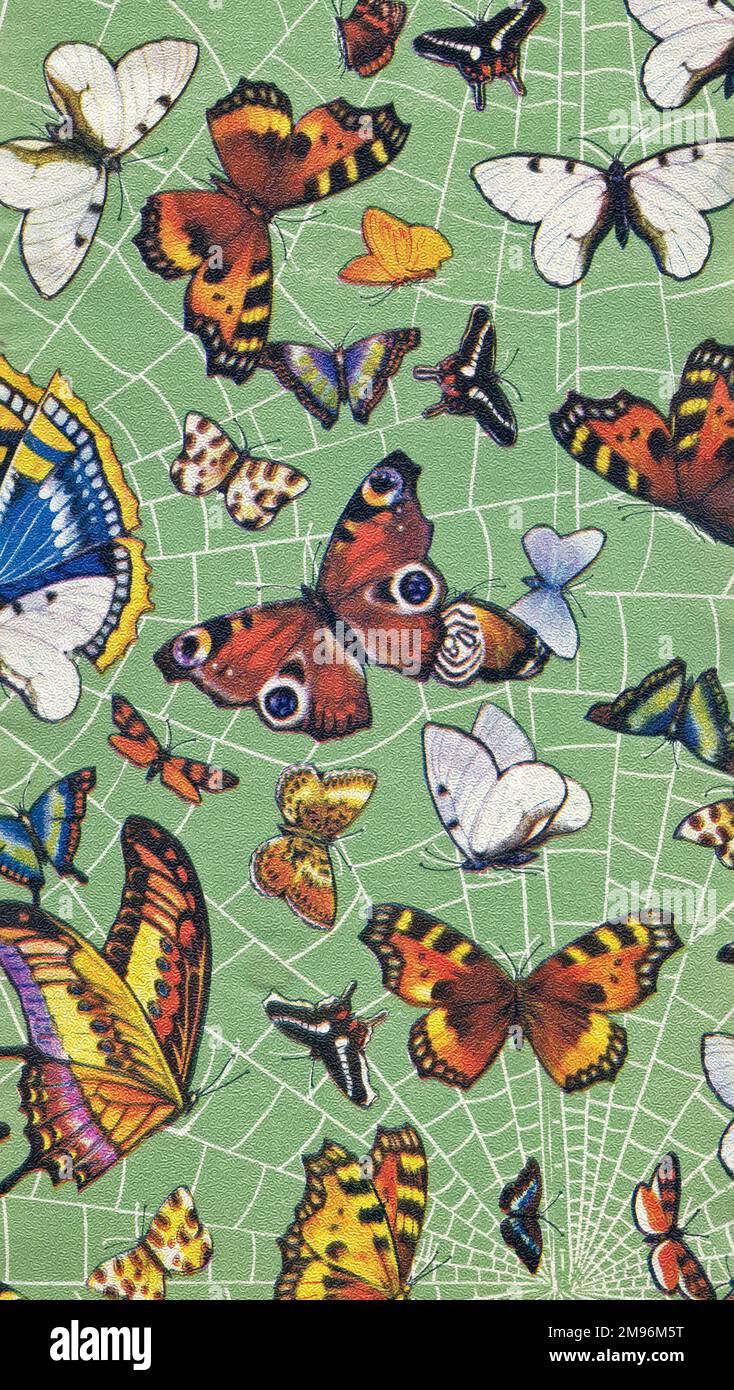 Wrapping Paper Sample Design -- multi-coloured butterflies against a ...