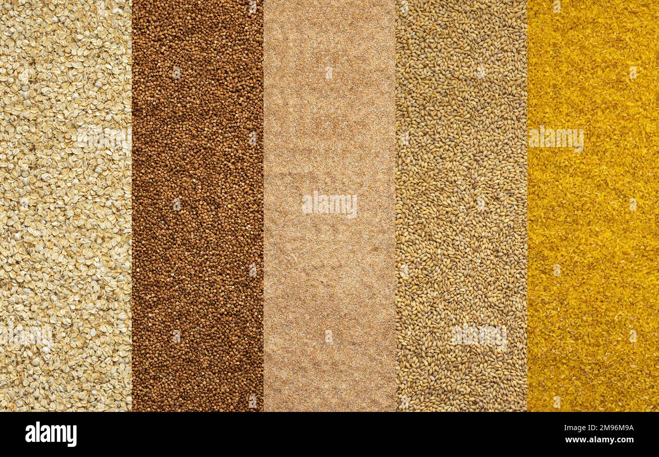 Various grain cereals banner, top view, oats and brown buckwheat, wheat ...